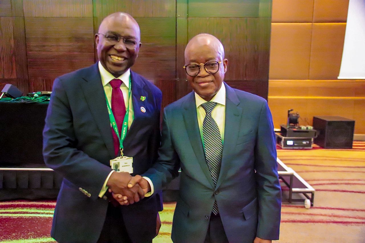 Nigeria’s Delegation Storms London for Crucial IMO Council Elections ...