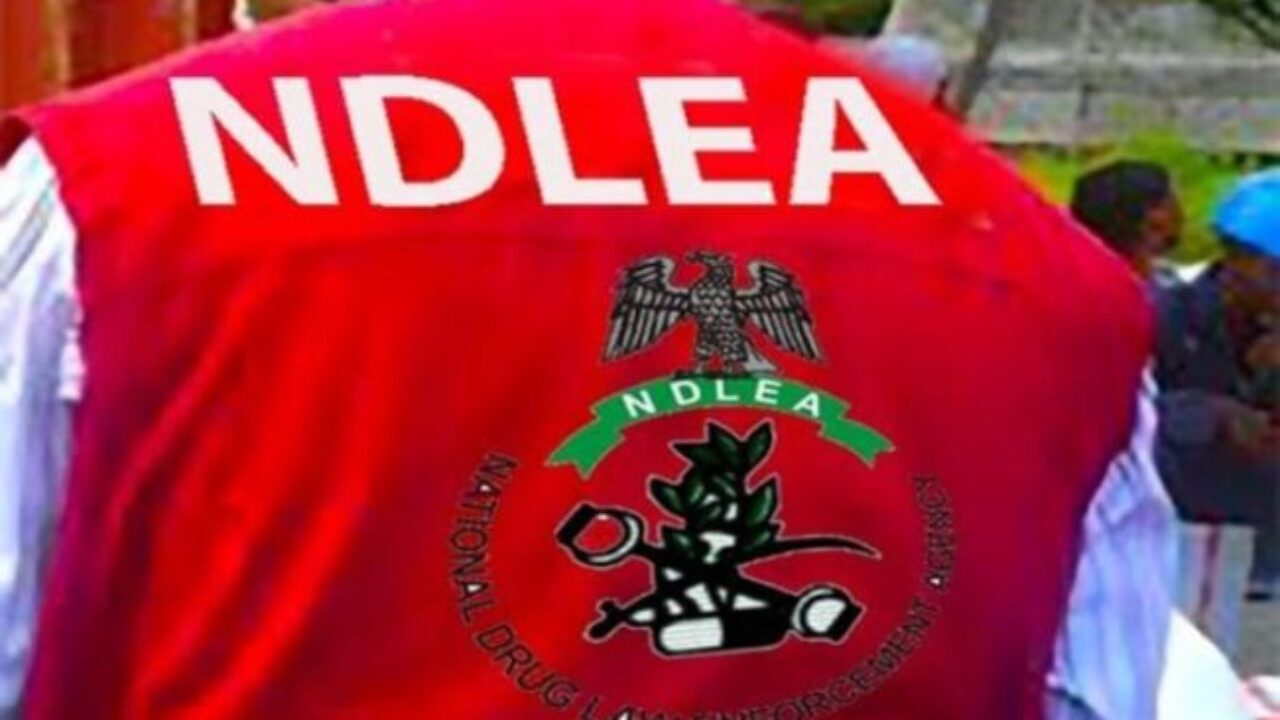 NDLEA unveils new drug control plan to tackle abuse, close gaps - Ameh News